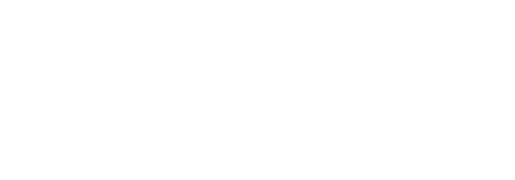 Blue Skies Aviation Solutions - Leading CAASL-Certified Aviation Services